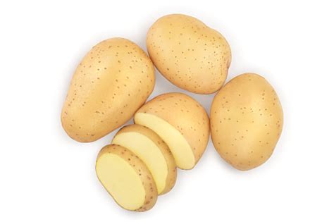 흰색 배경에 고립 된 젊은 감자 새로운 수확 맨 위 보기 플랫 레이 0명에 대한 스톡 사진 및 기타 이미지 0명 3가지 개체 4가지 개체 Istock