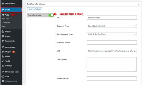 How To Set Up Schema For Local Business Schema And Structured Data For Wp Documentation