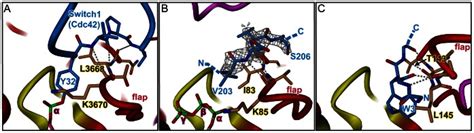 The Bound Peptideprotein Segment Blue And The Target Dock Brown