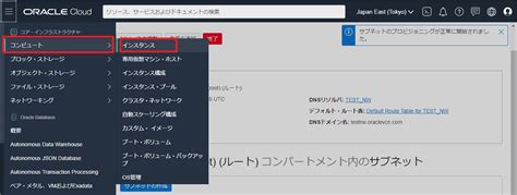 oracle cloud virtual machine smaragdina