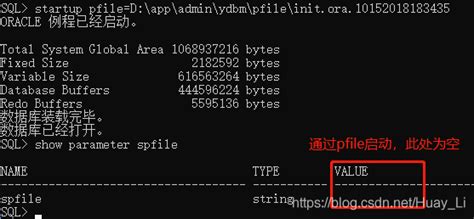 oracle的pfile和spfile的一点理解和笔记 cnetsa 博客园