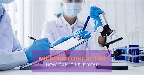 Microbiology Lab