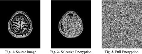 Figure 1 From Selective Encryption Using Segmentation Mask With Chaotic Henon Map For