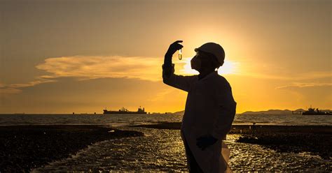 What To Look For In A High Quality Hseq Software System
