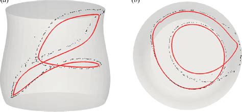 particle accumulation structures observed for the case ξ 0 987 and st