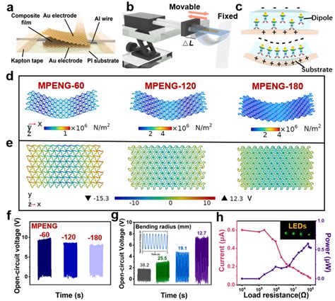 四川大学陈英红教授团队《nano Energy》 基于可编程超材料设计的3d打印电子皮肤策略中国聚合物网科教新闻