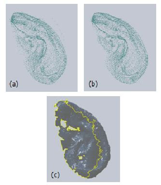 Mesh Processing A Original Mesh B Mesh After The Simplification And Download Scientific