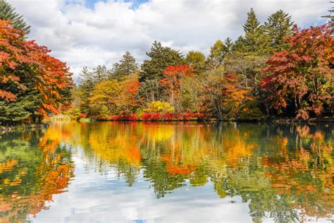 紅葉と雲場池軽井沢 無料の高画質フリー写真素材 イメージズラボ