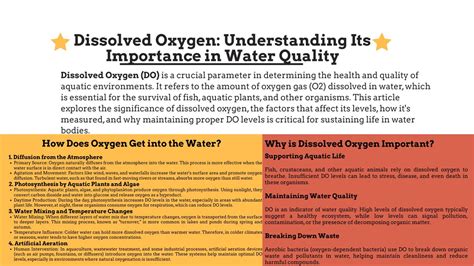 Dissolved Oxygen Understanding Its Importance In Water Quality Sensor One Stop The Best