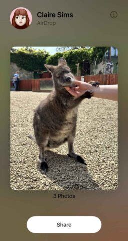 Trade Contacts By Tapping Two IPhones Together With NameDrop TapSmart