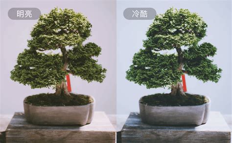 图片特效免费在线照片滤镜添加工具 Fotor照片编辑器