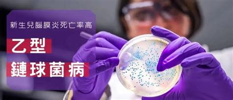 79人感染7人死亡！致命病菌爆发！最近吃鱼要小心 新加坡新闻头条