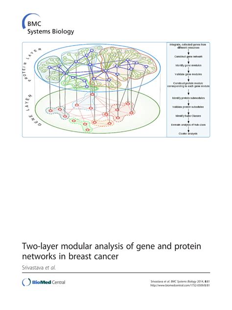 Pdf Two Layer Modular Analysis Of Gene And Protein Networks In Breast