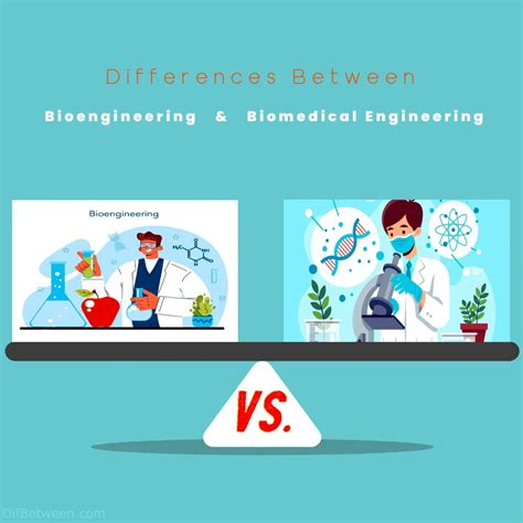 Bioengineering Vs Biomedical Engineering Key Distinctions