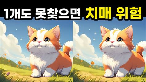 1개도 못 찾으면 치매 위험 틀린그림찾기 다른그림찾기 치매예방퀴즈 1 Youtube