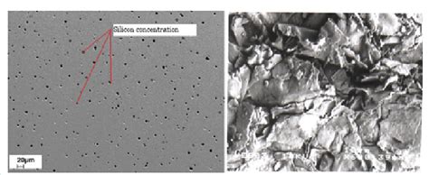 A Sem Micrograph Of The Substrate Microstructure B Sem Image Of