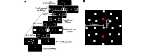 Stimulus Configuration Used In The Experiment A An Illustration Of