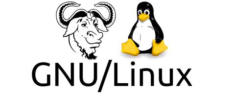 How To Define And Use Functions In Linux Shell Script Artofit