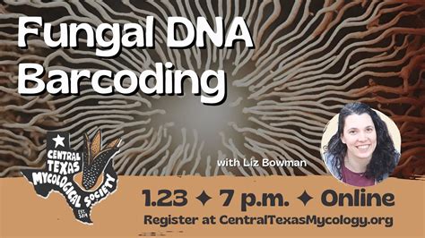 Fungal Dna Barcoding Youtube