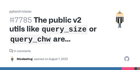The Public V2 Utils Like `querysize` Or `querychw` Are Untested