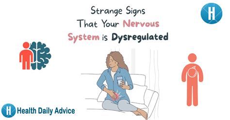 8 Signs Of A Dysregulated Nervous System Health Daily Advice