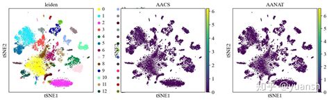 Singlecellscanpy Python Seurat