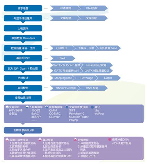 全外显子组测序 知乎