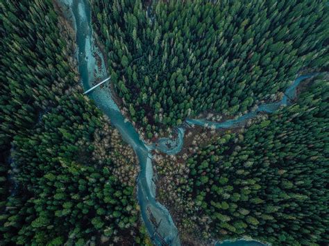 Understanding Standard Streams Stdinstdout By Lucas Penzeymoog Medium