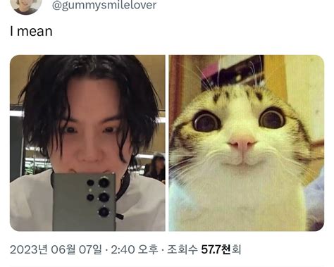 더쿠 윤기 고양이썰이 외랑둥이들로부터 시작이라더니