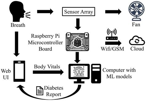 Block Diagram Of Our Diabetes Detection System Download Scientific