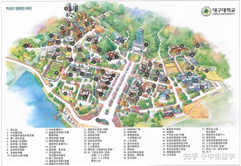 韩国大邱大学专升本项目招生简章 知乎