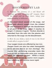 BIOCHEM LAB OSMOSIS Pdf BIOCHEMISTRY LAB Explain The Journey Of A Red Blood Cell Picking