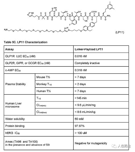 万物皆可偶联：再生元的减肥药glp 1 Adc Glp 1r及其配体glp 1是经过高度验证的肥胖和2型糖尿病靶标，目前针对这一靶点的药物开发