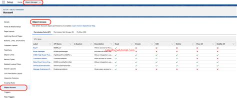Introducing Object Access In Object Manager Salesforce Tutorial Intervew Questions