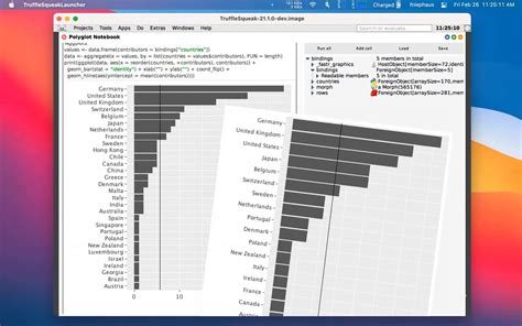 Github Hpi Swatrufflesqueak A Squeaksmalltalk Vm And Polyglot