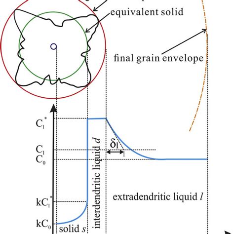 A Schematic Representation Of The Solute Diffusion Model For Equiaxed