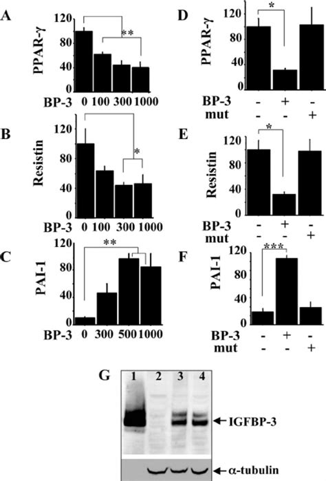 Effect Of Igfbp 3 On Gene Expression In Mature 3t3 L1 Adipocytes