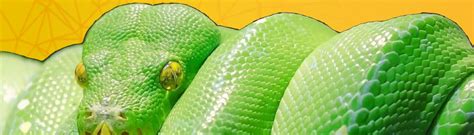 Edinburgh Genomics On Linkedin Data Exploration With Python