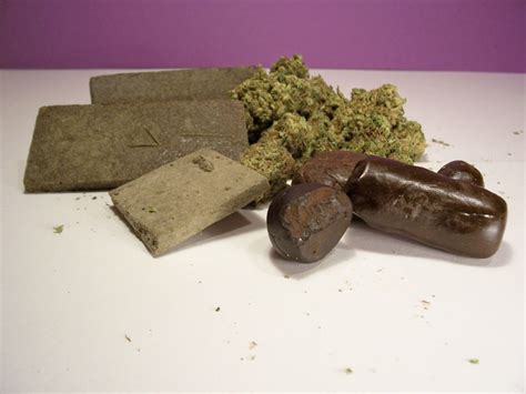 Hash Vs Weed Whats The Difference Sensi Seeds