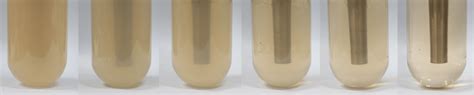 Fig S3 Appearance Of The Oil In Water Microemulsion Left To Right