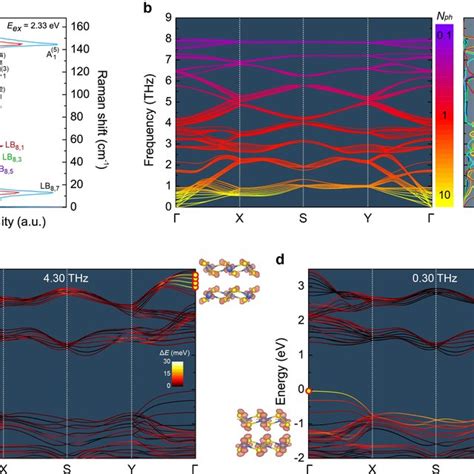 Lattice Dynamics And Electron Phonon Coupling In Pdse 2 A Raman