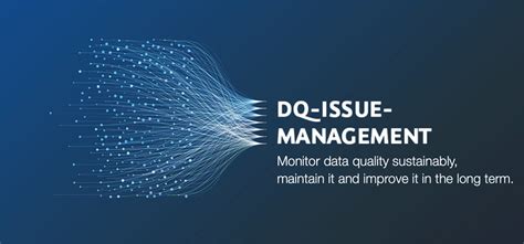 Data Quality Issue Management Tolerant Software