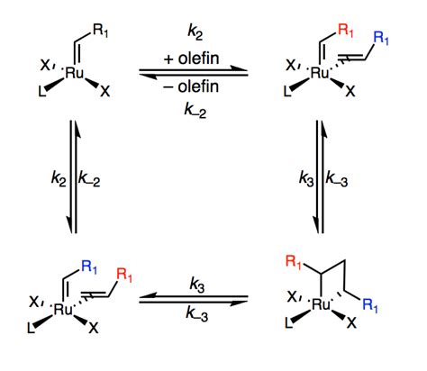 Olefin Metathesis Catalysts Excluding Schrock Grubbs And Hoveyda Macmillan Group