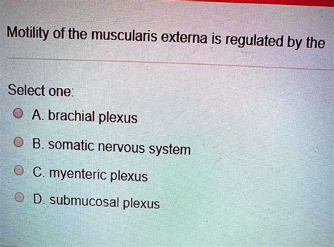 Motility Of The Muscularis Externa Is Regulated By The Select One A Brachial Plexus B Somatic