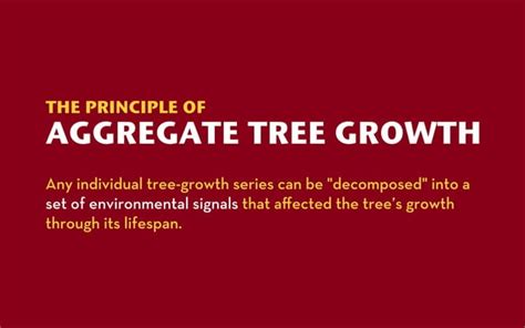 Geog583912 The Linear Aggreate Model Of Tree Growth Pdf