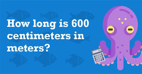 600 Centimeters In Meters 600 Cm To M