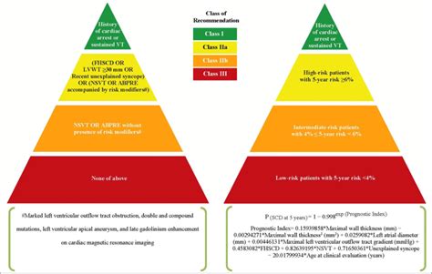 Indications Of Icd Implantation In The 2011 Accfaha Guideline Left