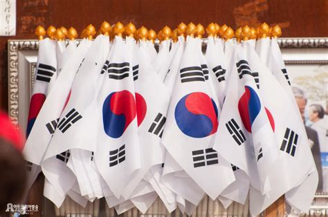 Cms 자동이체 010 5920 1202 광복절 70년 제96주년 31절 태극기 달기 캠페인