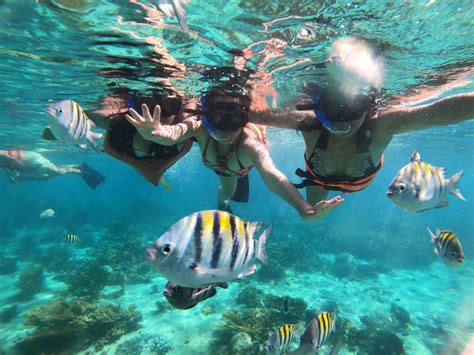 Isla Mujeres Snorkeling Tour From Cancun At Carolyn Bey Blog