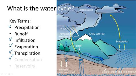 Nutrient Cycles Example Video Biology CK Foundation